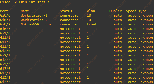 Layer 2 connectivity configuration between Nokia VSR and Cisco IOSv - WanderNets.com