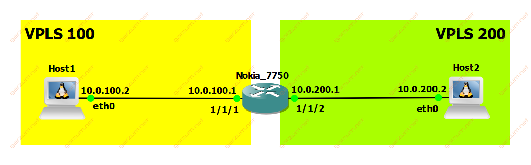 Routed VPLS - WanderNets.com