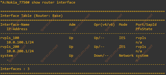 Routed VPLS - WanderNets.com