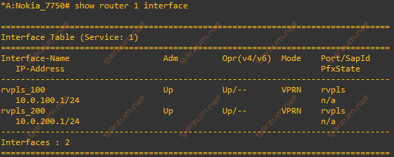 Routed VPLS - WanderNets.com