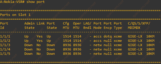 Layer 2 connectivity configuration between Nokia VSR and Cisco IOSv ...